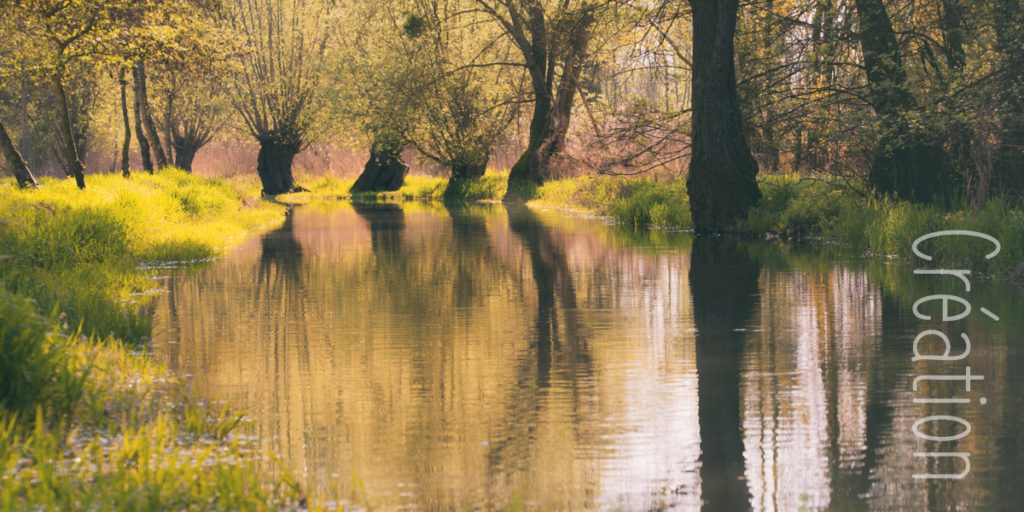 Accueil | Nature en lien